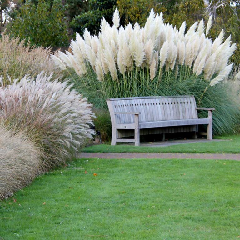 The Best Fall Plants - 12 Best Plants for Autumn - Amelia Lawrence Style
